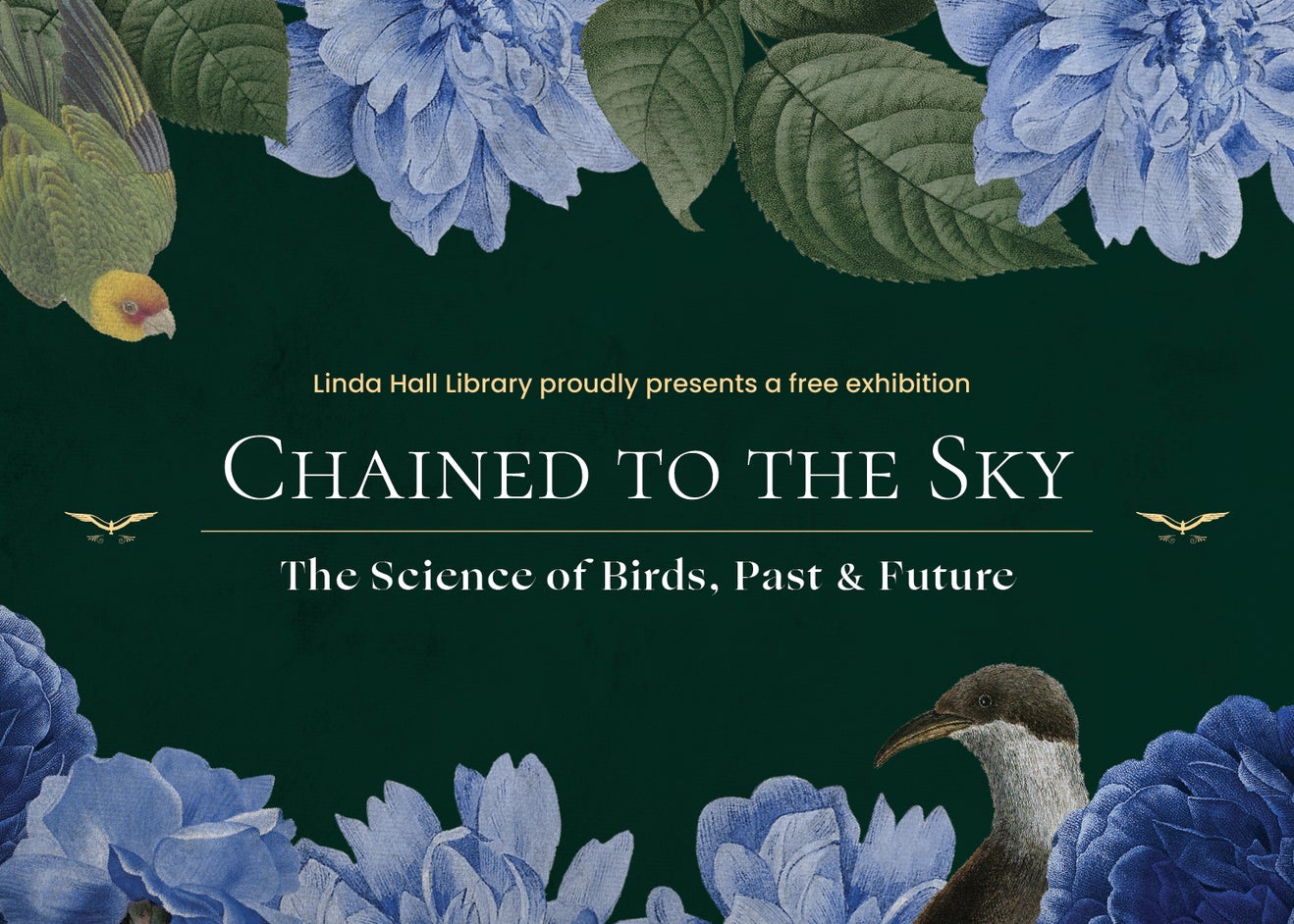 Chained to the Sky: The Science of Birds, Past & Future - Linda Hall Library